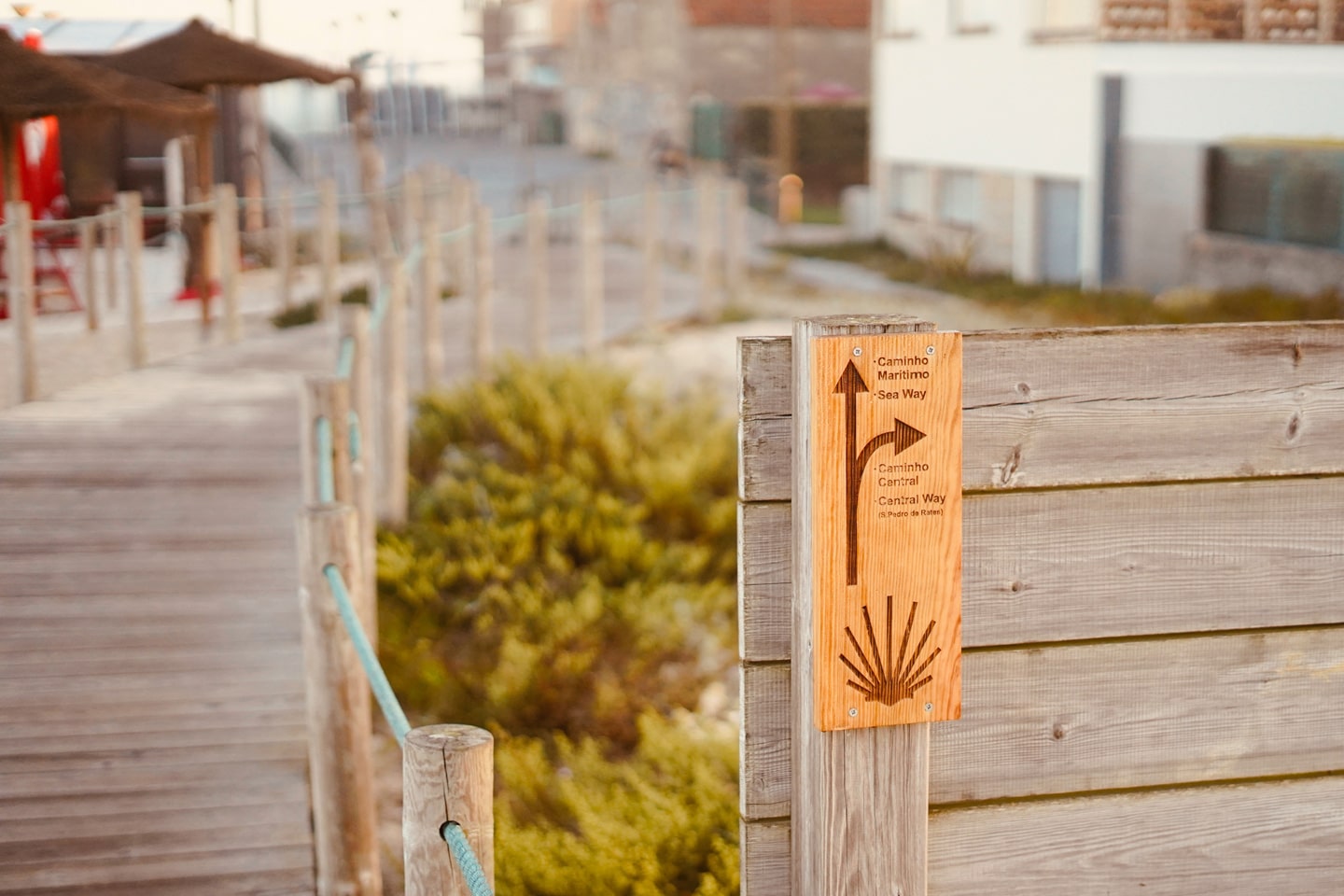 Environmental Graphic Design | Art Text for Mac